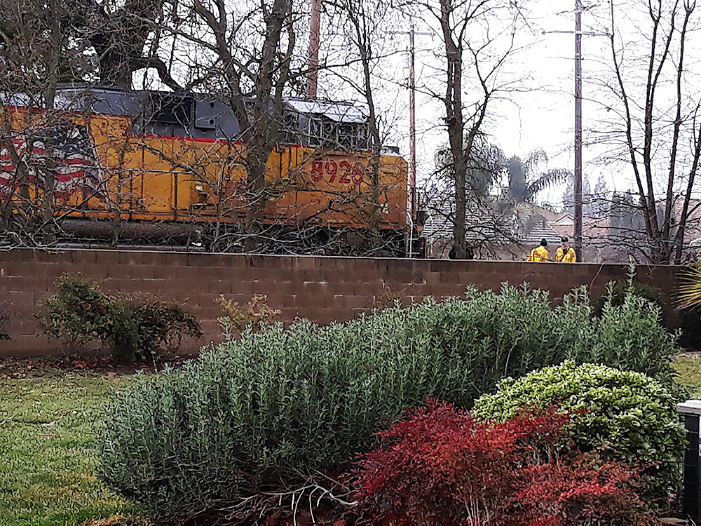 Investigation Concludes On Fatal Pedestrian Vs Train Accident The
