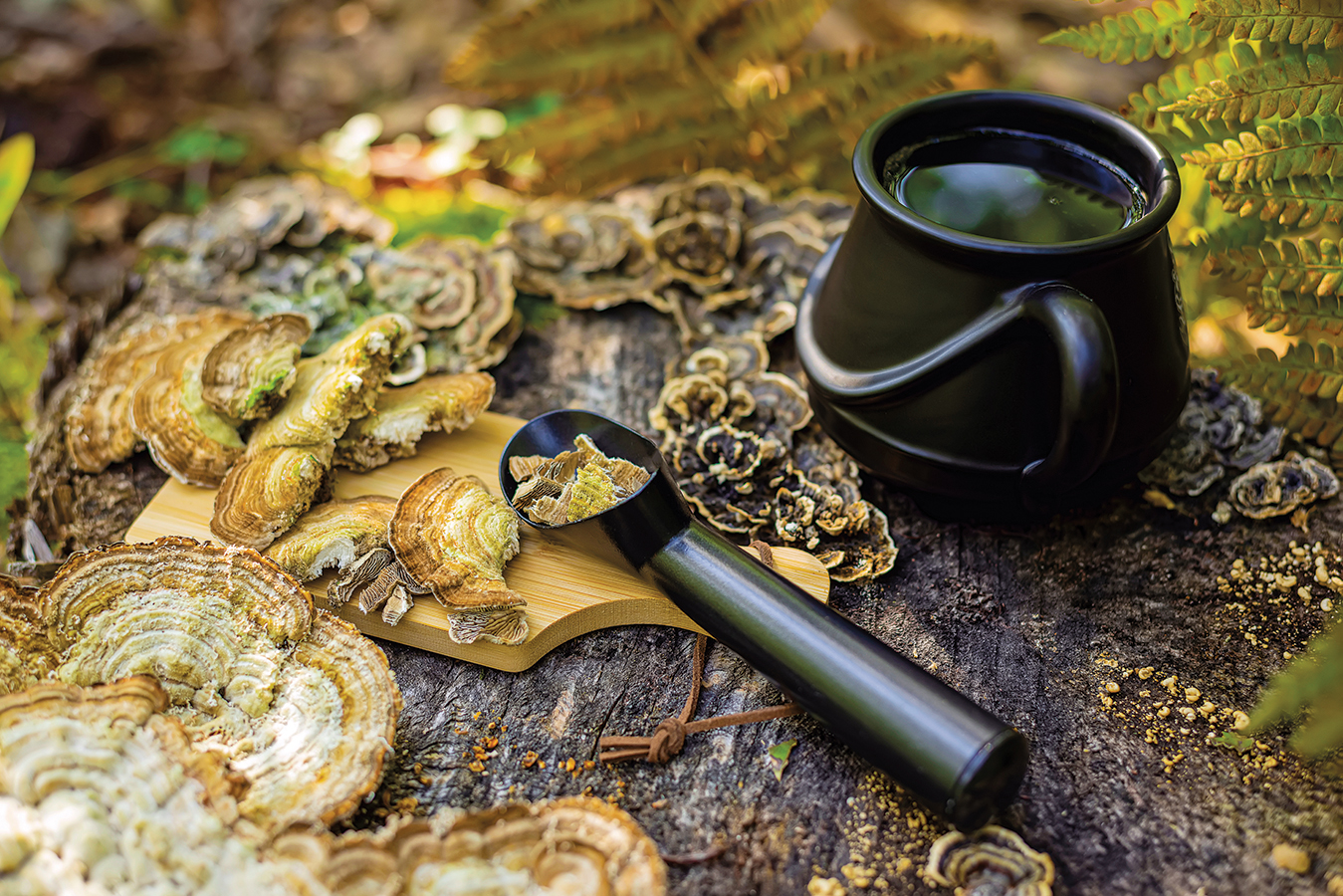 Functional Mushrooms and Herbal Remedies Expand Local Wellness Access ...