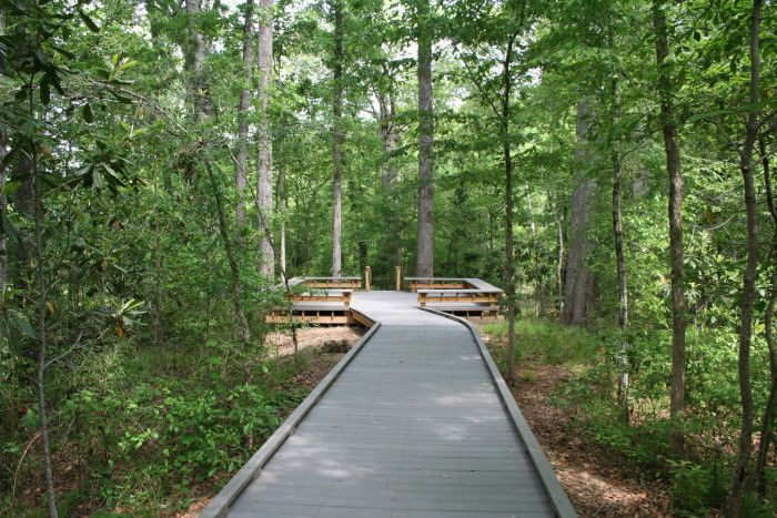 18 Of Louisiana s State Parks Reopen For State Residents New Discount 18-of-louisiana-s-state-parks-reopen-for-state-residents-new-discount