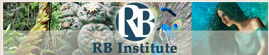 Rb Institute Inc Related Articles