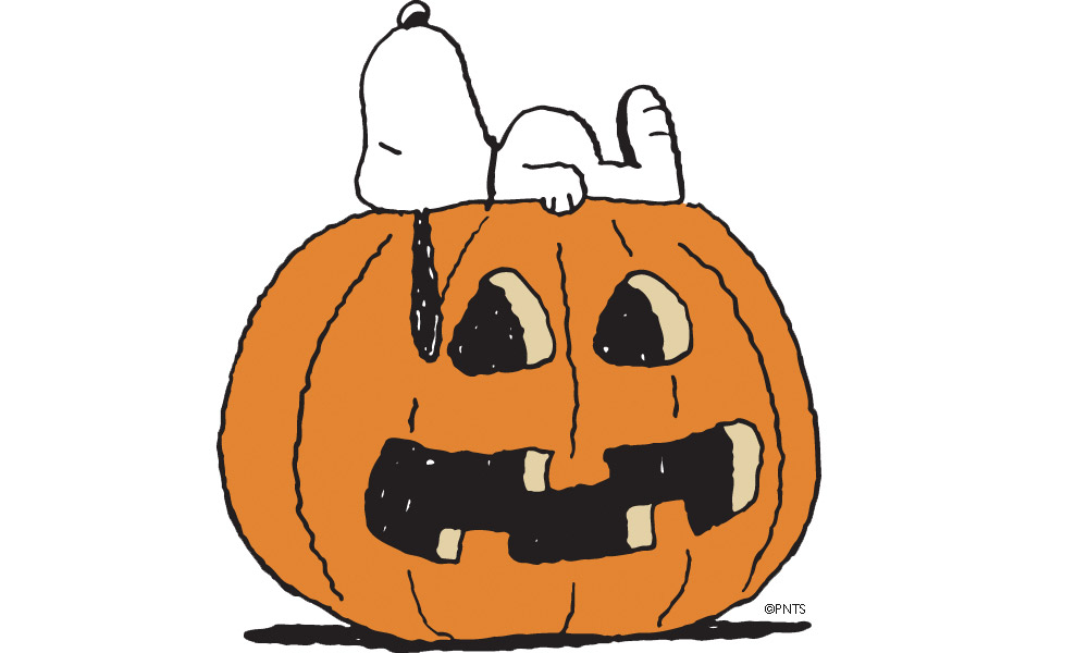 Learn to Draw Snoopy as a WWI Flying Ace | Sonoma Family Life Magazine