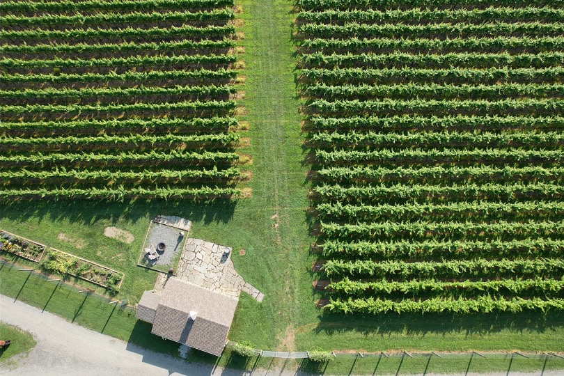 First Annual Kennett Summerfest Wine and Spirits Festival planned for June 12 | Chester County Press