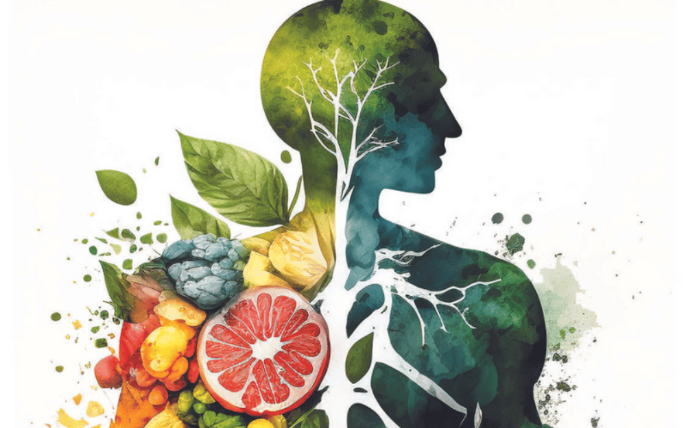 Converting Food to Energy: Learning How Metabolism Works | Natural ...