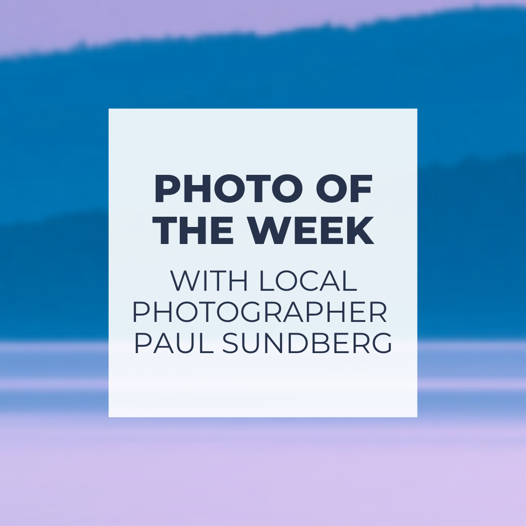 Photo of the week with local photographer Paul Sundberg: Snowy Owl ...