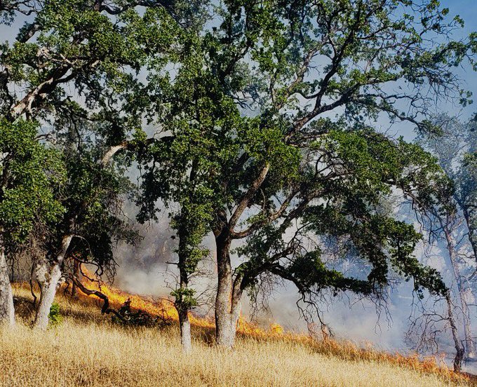 Scott Fire Burns in Foothills | The Gridley News
