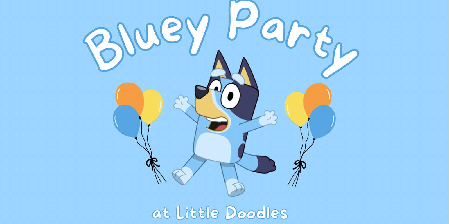 Bluey Party