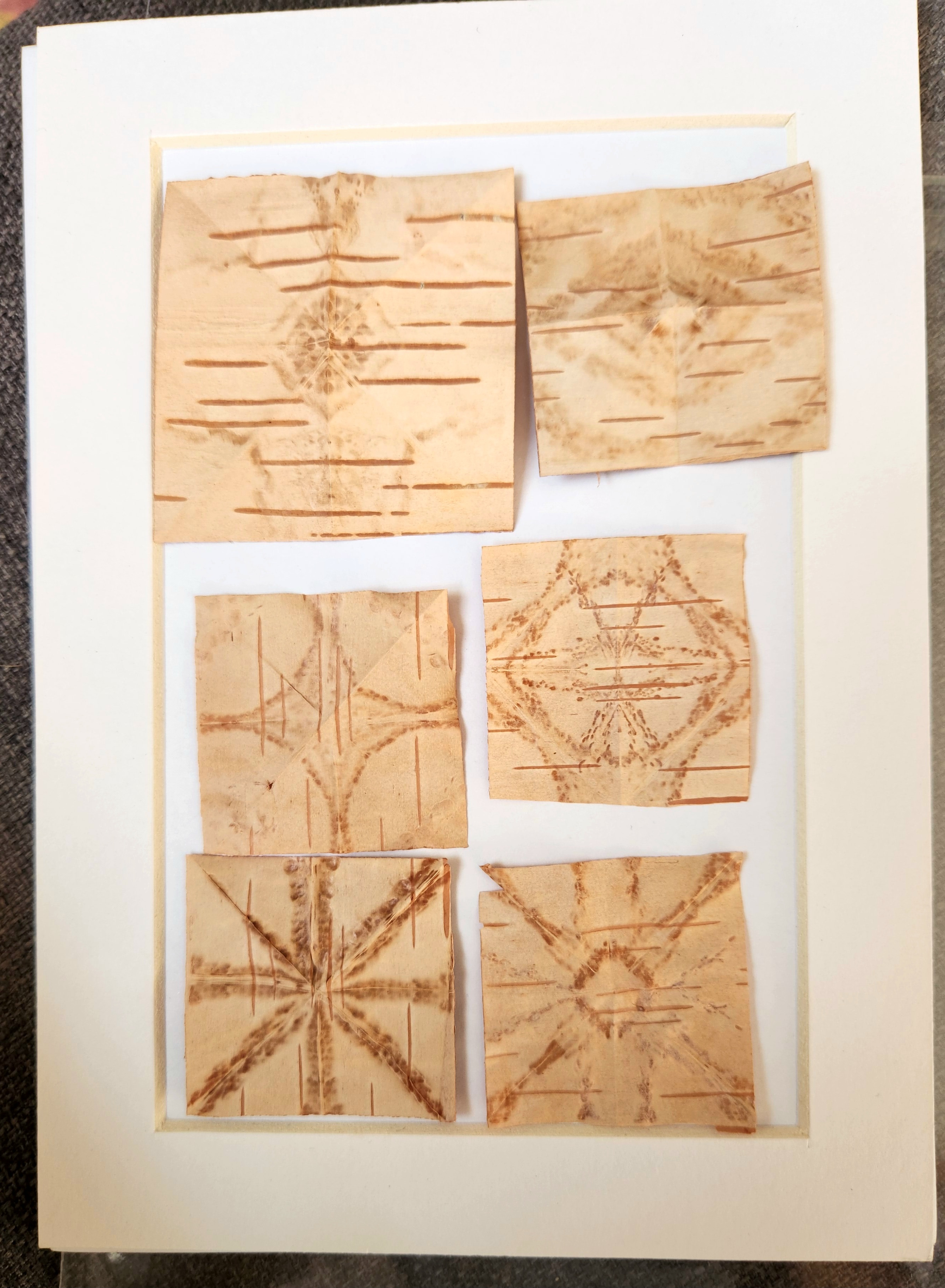 Birchbark biting: learning about this uncommon art form (that is ...