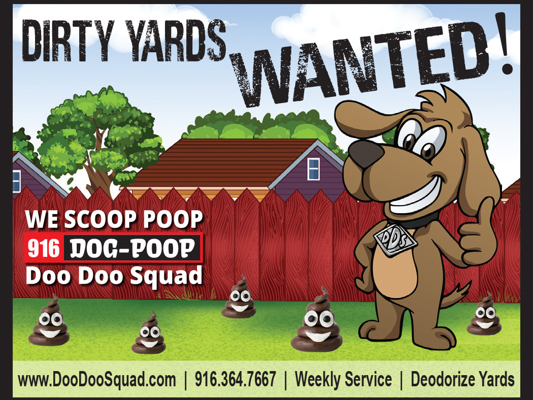 Doo Doo Squad—Dog Poop Pickup in Granite Bay—Style Savings Guide ...