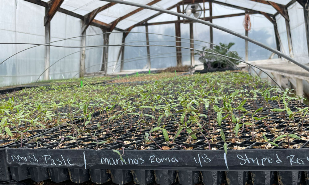 Petaluma Bounty's 14th Annual Spring Plant Sale | Sonoma Family Life ...