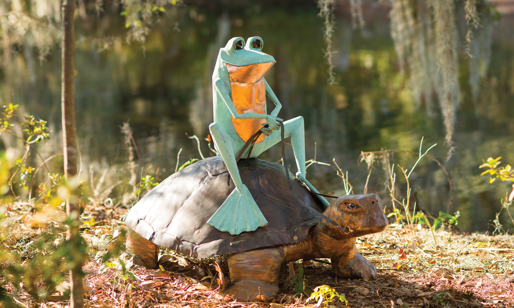 Ribbit Exhibit Lets You Leap Into Spring | Sonoma Family Life Magazine