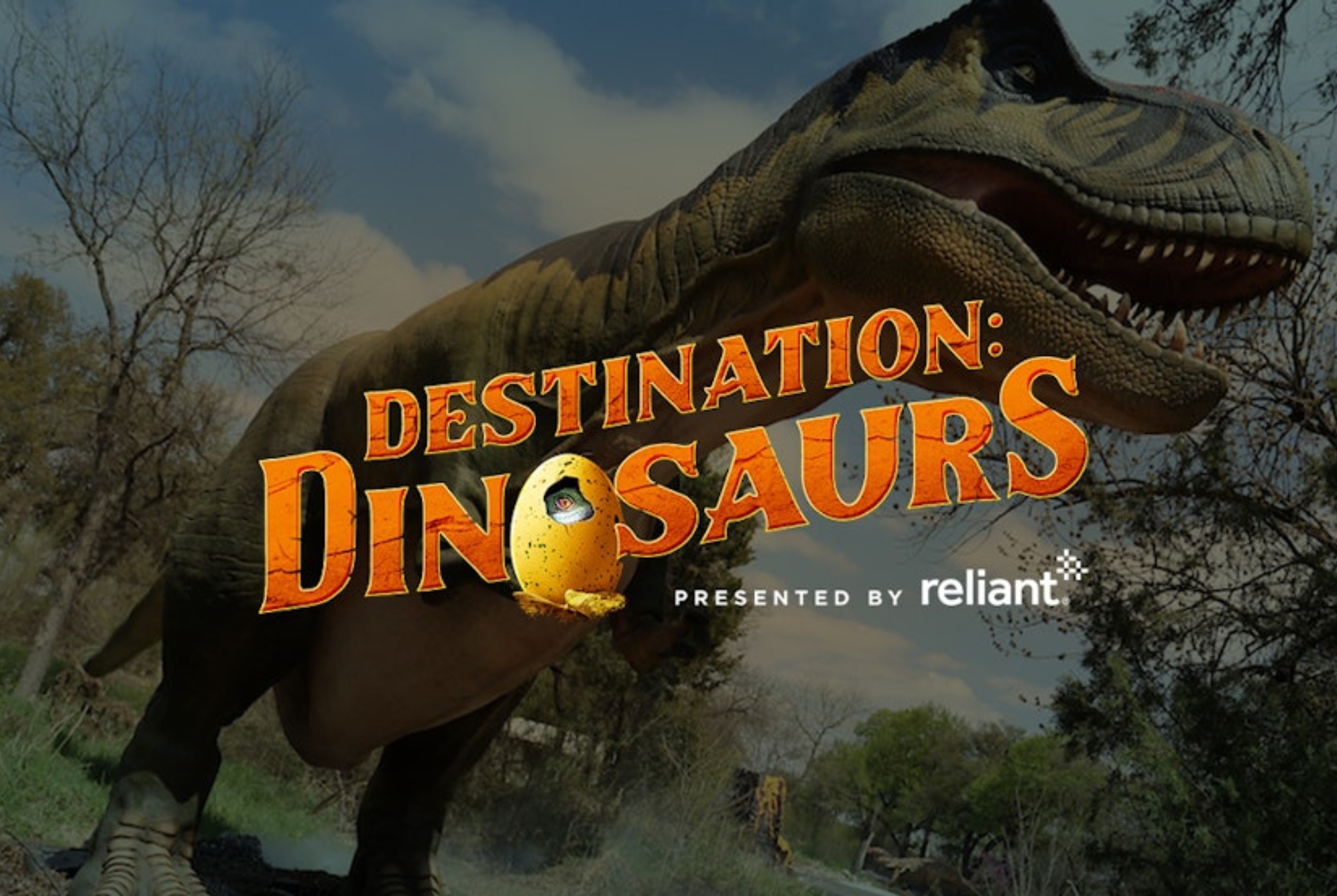 Dinosaur Adventure at Dallas Zoo | Natural Awakenings Dallas -Fort ...
