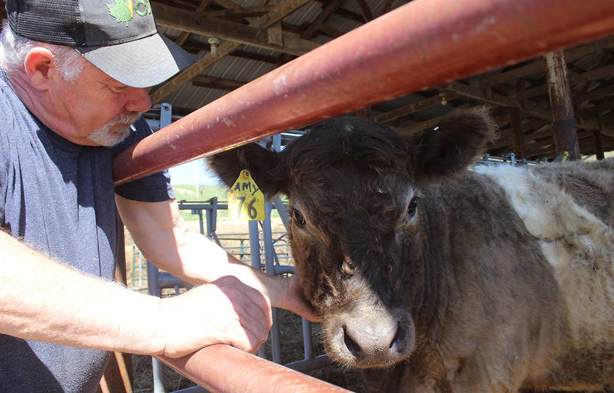 The Importance of Good Breeding | Mountain Home Magazine