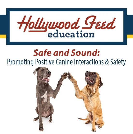 Promoting Positive Canine Interactions & Safety