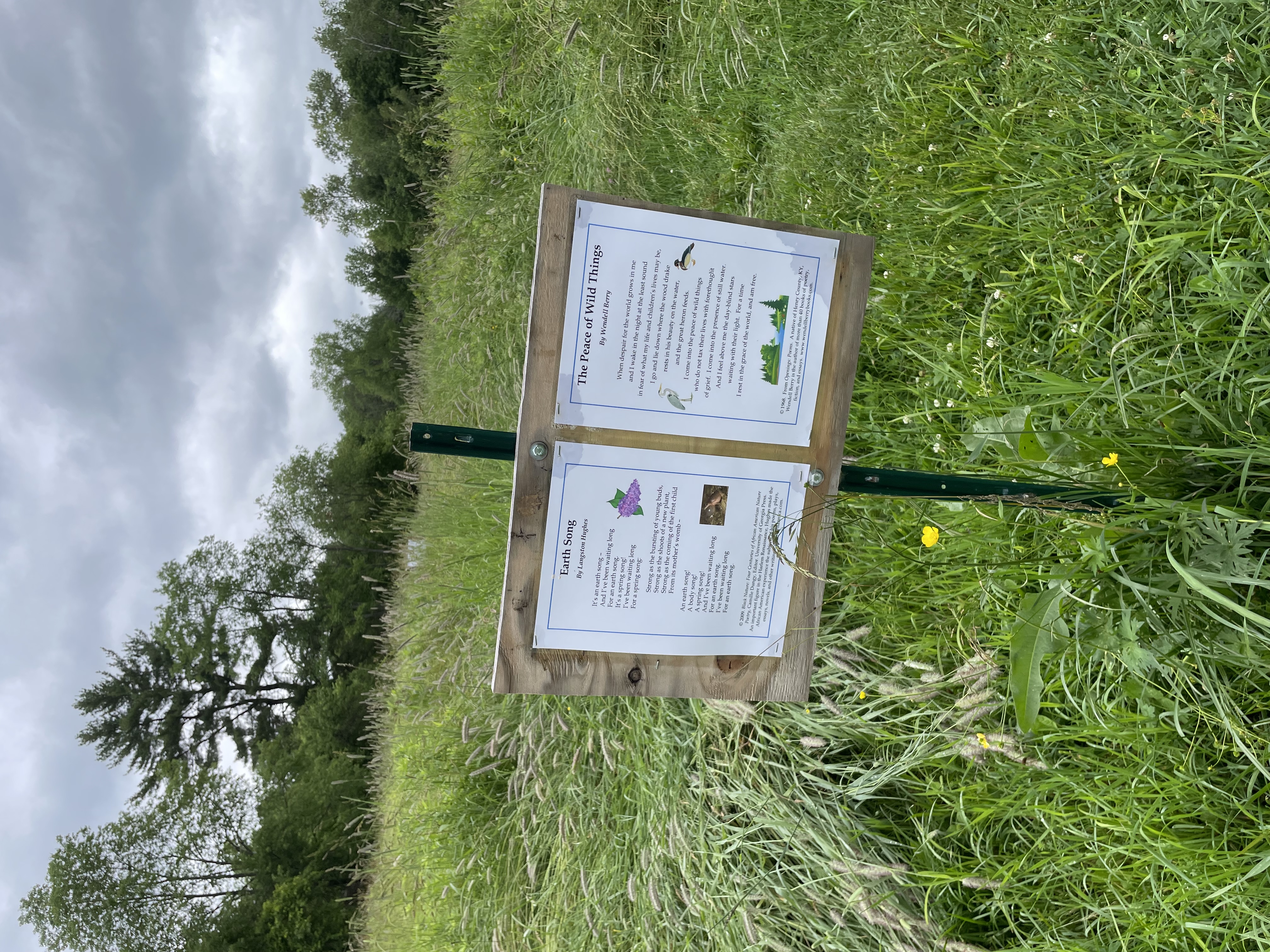 Story Walk - Nature Poems