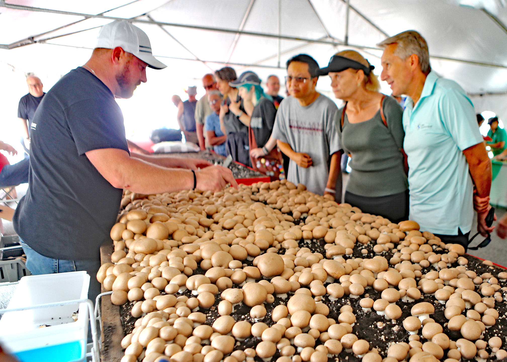 The Mushroom Festival: Food, fun, and entertainment in Kennett Square ...