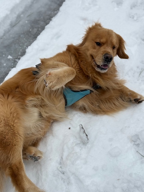 More Than Words | The Yankee Express