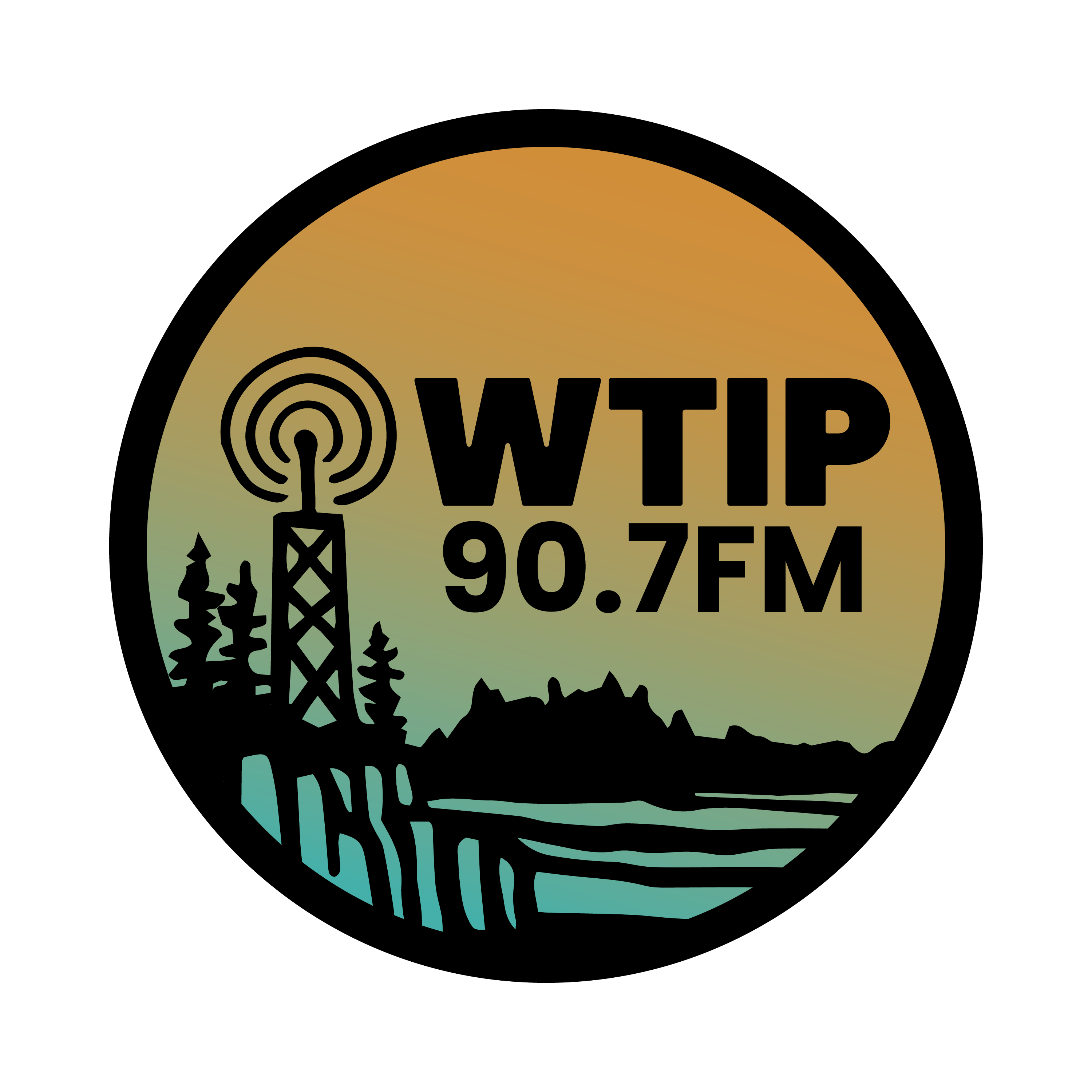 WTIP North Shore Community Radio Announces New Format for Live Music ...