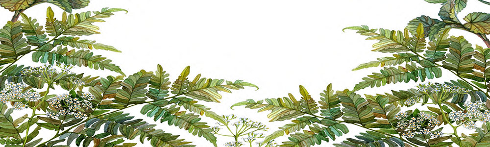Fern & Feather Preschool
