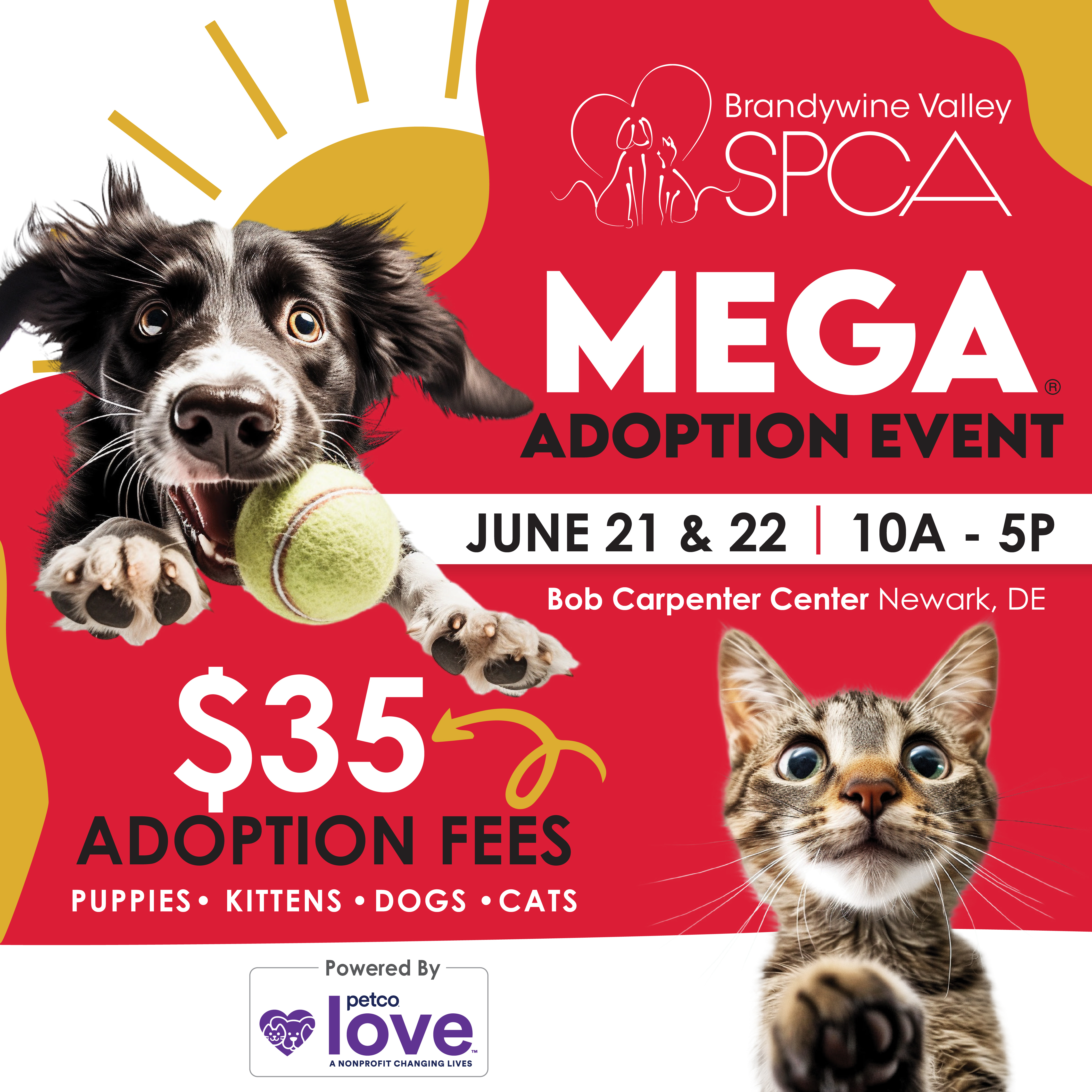 More than 1,000 pets adoptable for $35 at Brandywine Valley SPCA’s mega ...
