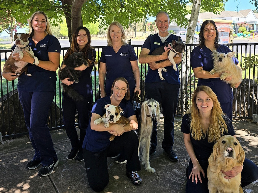 Blue Ravine Animal Hospital | Style Magazine – Dining, Events & Local ...