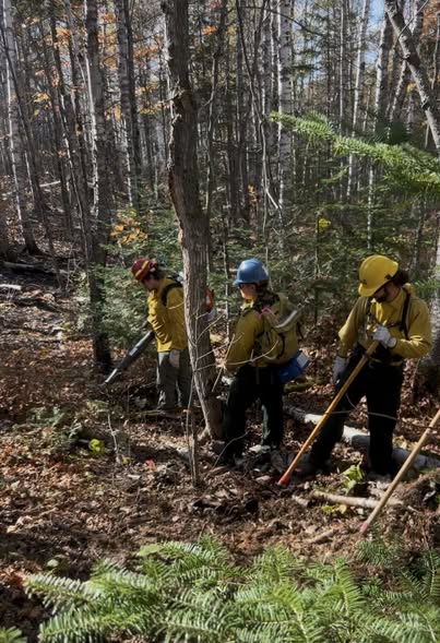 Crosby fire update: Containment reaches 95%; Superior Hiking Trail ...