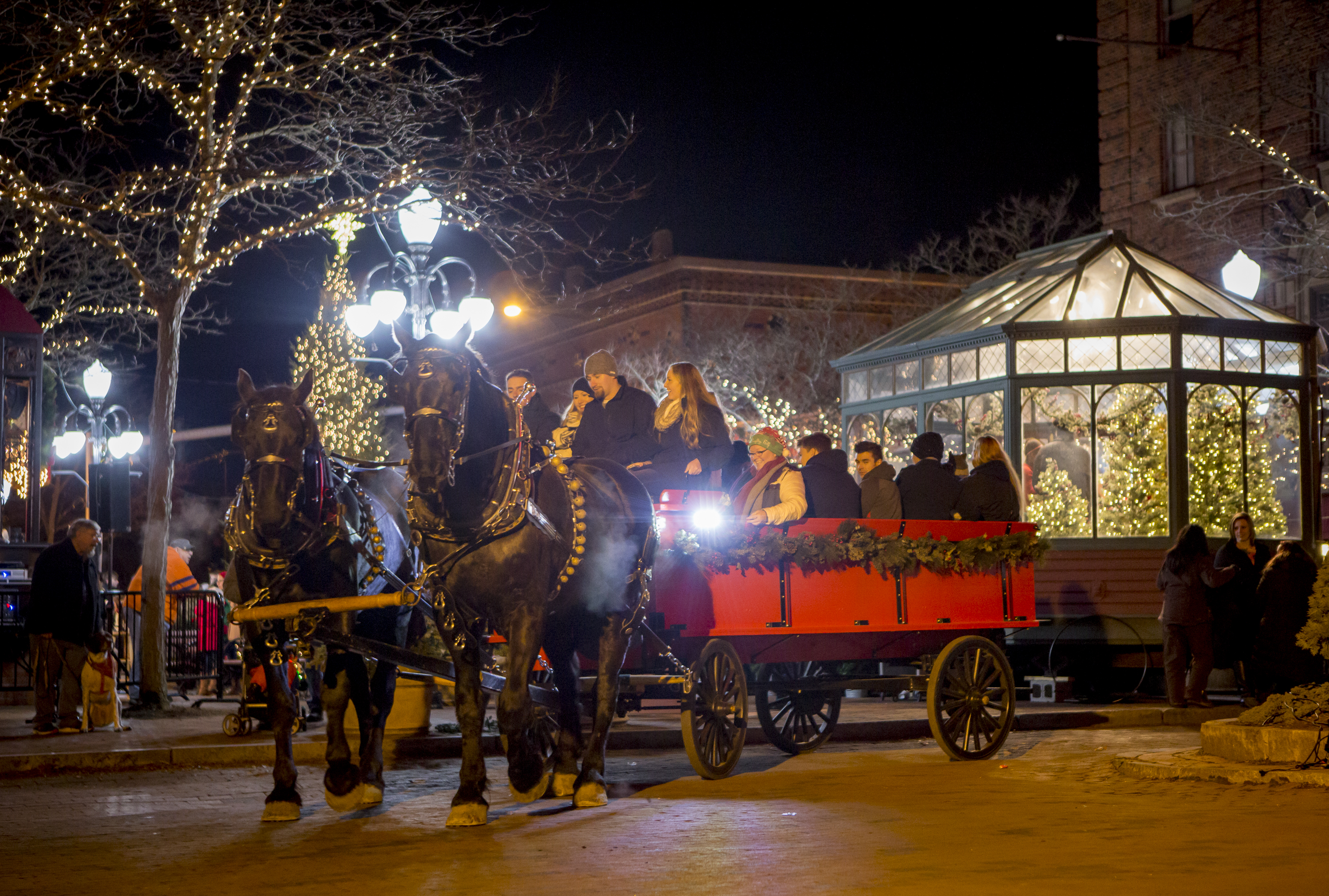 Holiday Horse & Wagon Rides