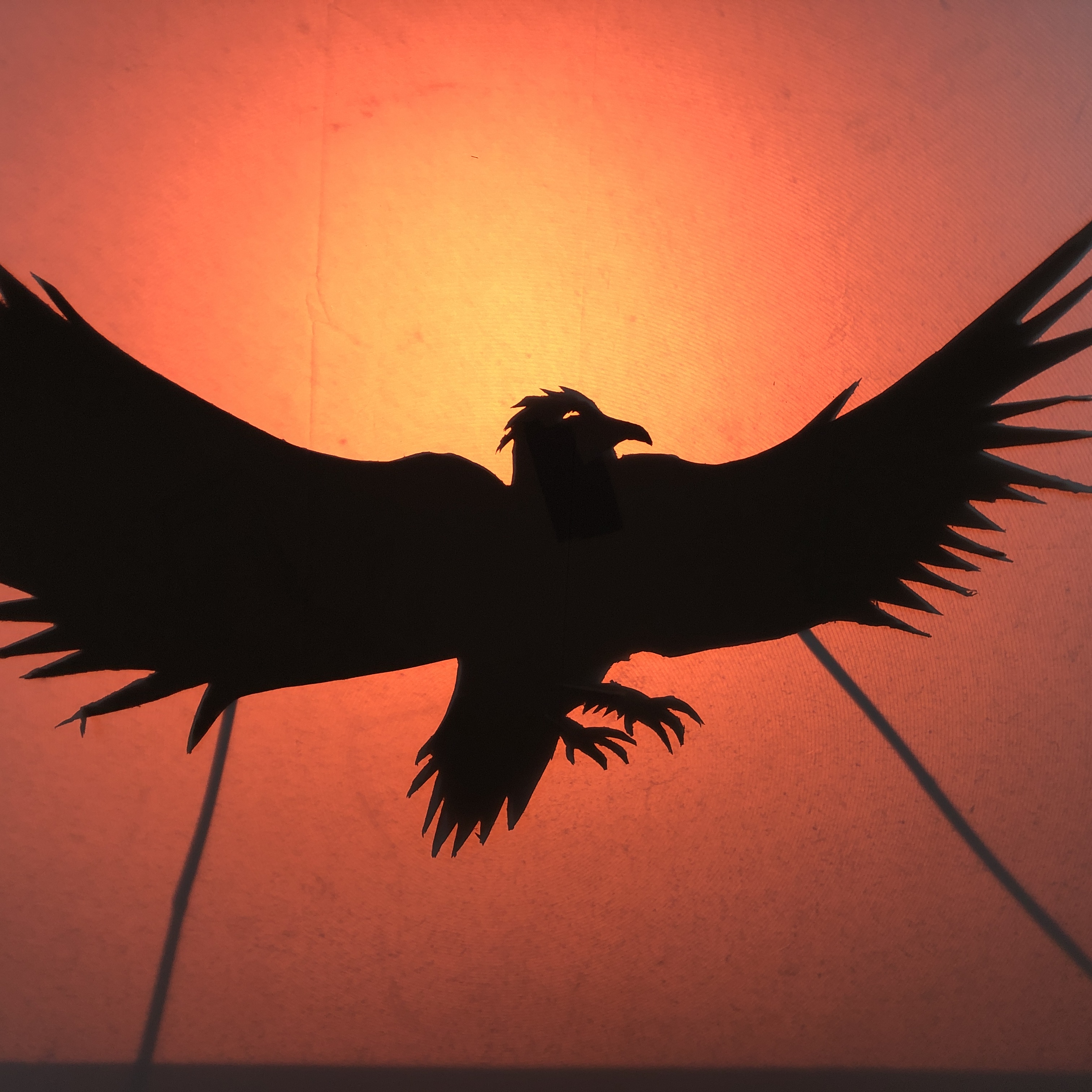 Winter Solstice Shadow Puppet Performance