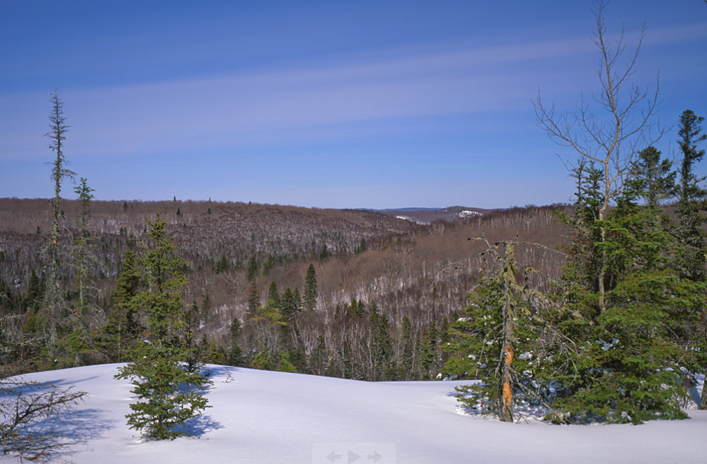 Site Highlight: Recreation and Research at Lutsen SNA | Boreal ...