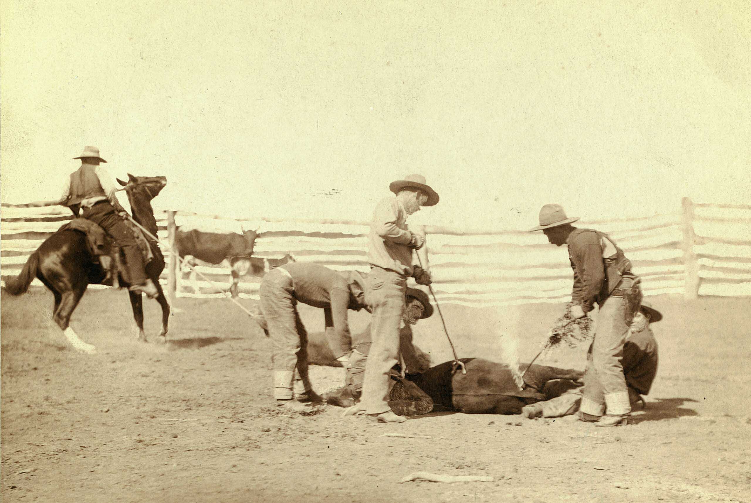 How the Colorado Cattlemen’s Association brought structure to a lawless ...