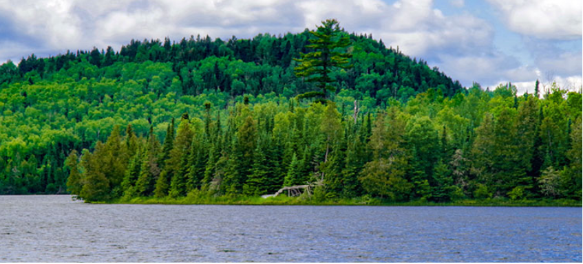 MN DNR announces transition to "same-day pay then stay" model for State ...