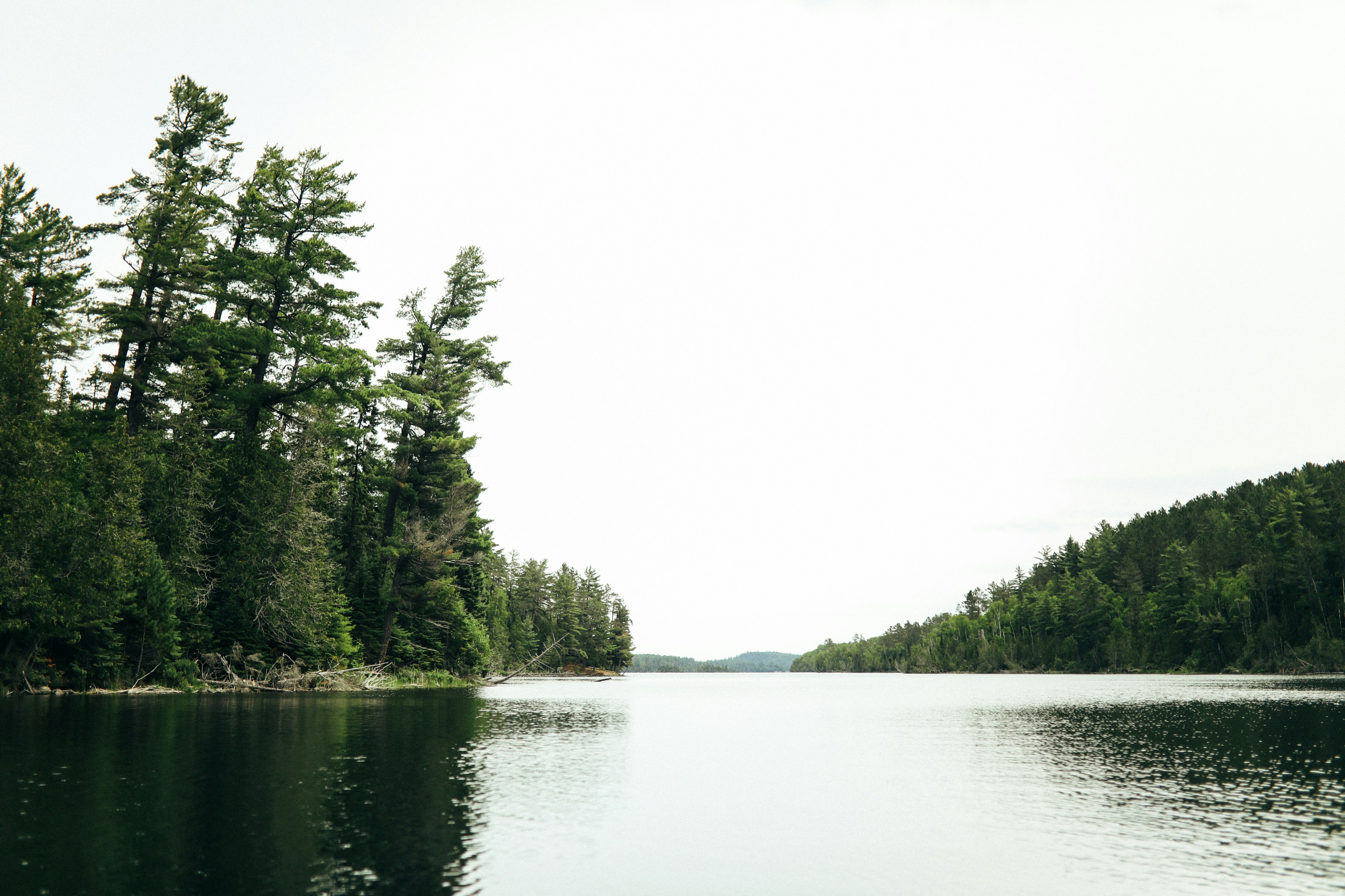 Update: Senate passes bill to reverse 20-year mining ban, with a 50-49 ...
