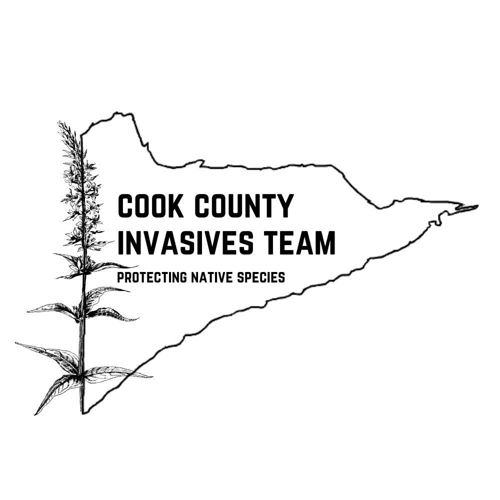 4th Annual Cook County Invasive Species Brewery Event | Boreal ...