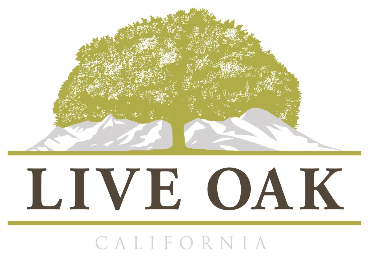 Council Votes to End Future Health Benefits for Members | The Gridley News
