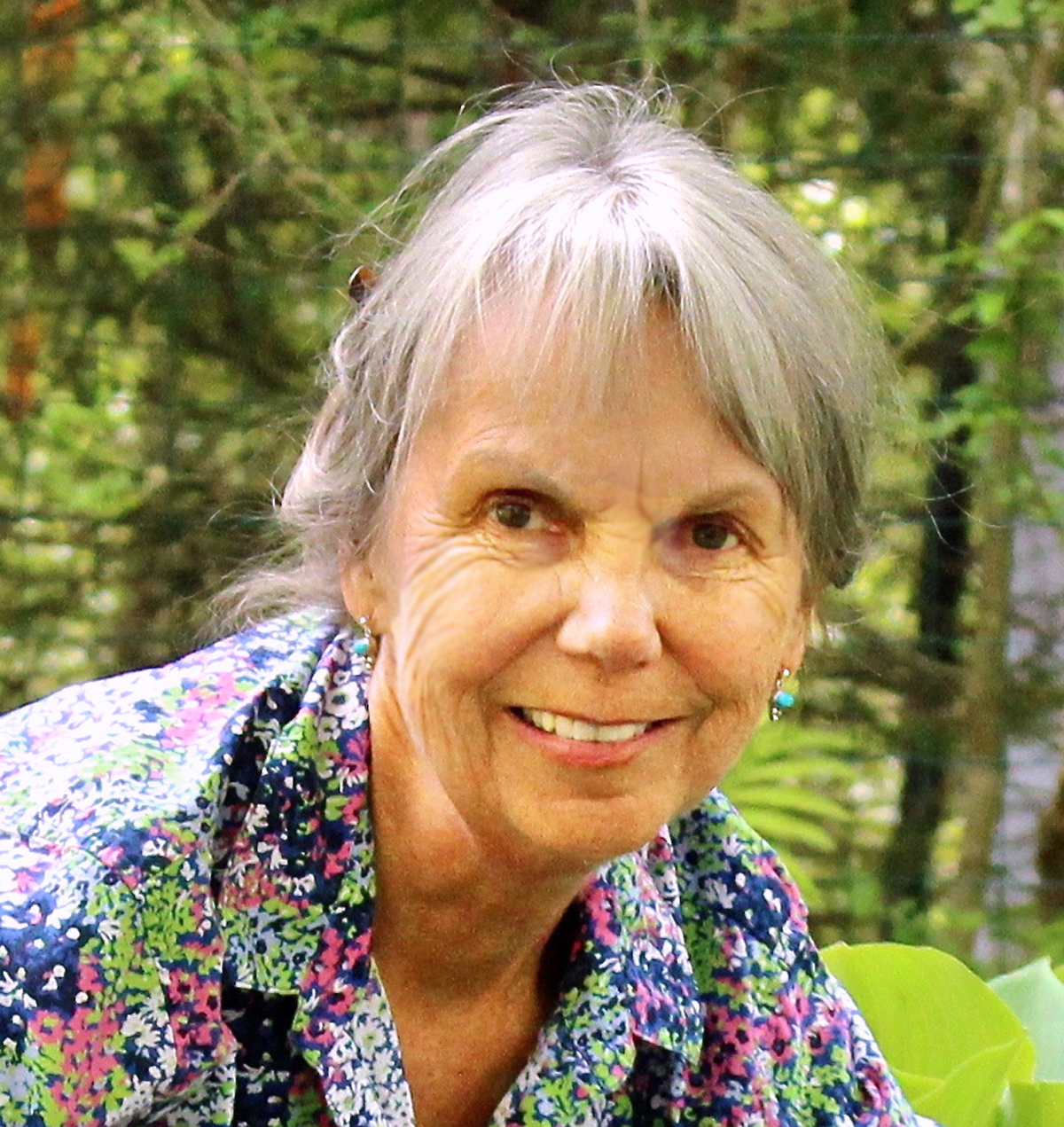 Wildflower Ecology: A Naturalist's Perspective