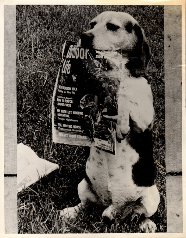 The Legend of Perma Stone Shorty | Mountain Home Magazine