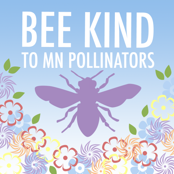 Pollinators are key to Minnesota’s environmental health | Boreal ...