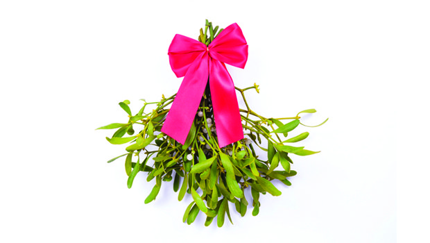 Mistletoe Extract Benefits Pancreatic Cancer Patients | Natural ...