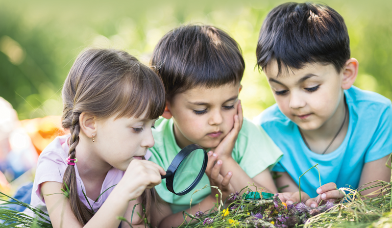 Nature's Classroom: Outdoor Learning Engages the Whole Child | Natural ...