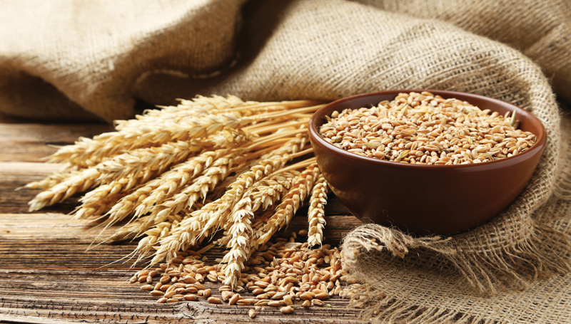 Eat Wheat Again: Eight Ways to Restore Gut Health | Natural Awakenings ...