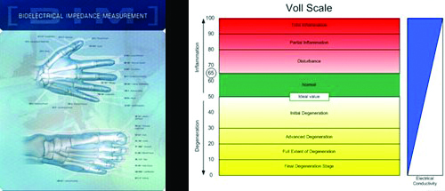 Bio-Meridian Body Scan—Sick and Tired of Being Sick and Tired ...