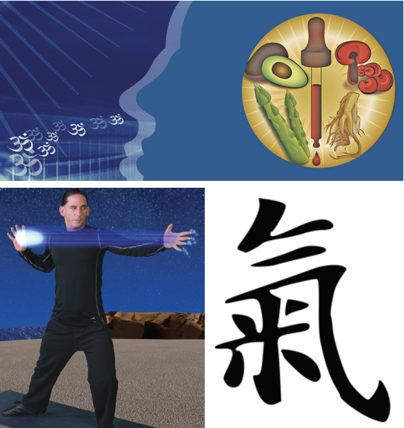 Qi: The Force Behind Blood Flow and Higher Intelligence: Interview with ...