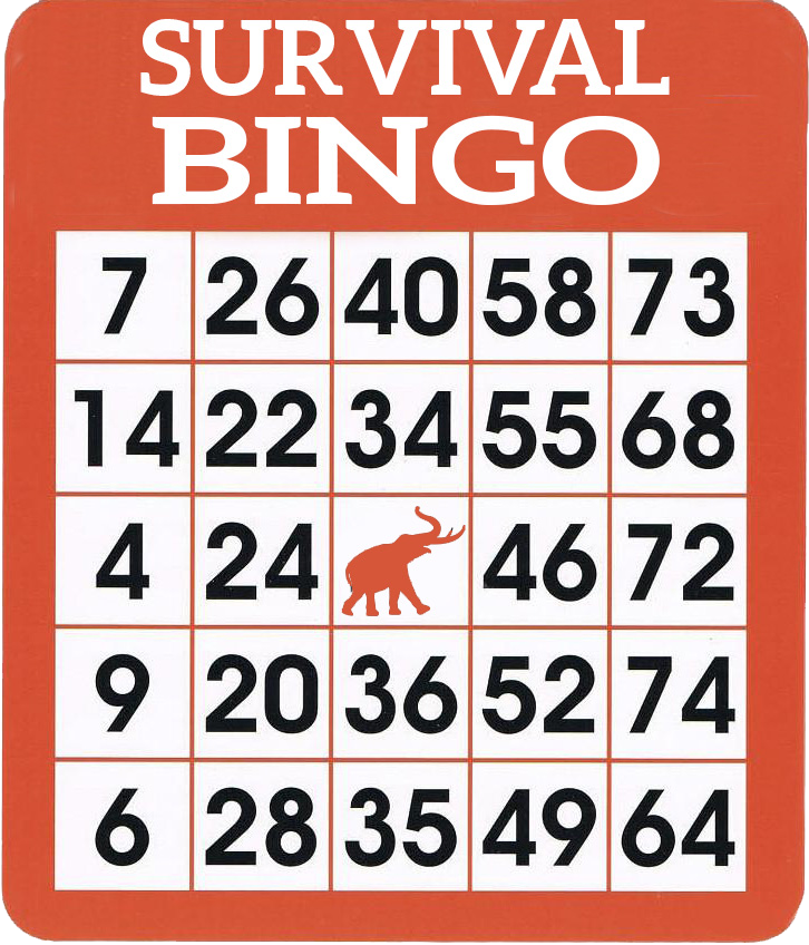 SURVIVAL BINGO!