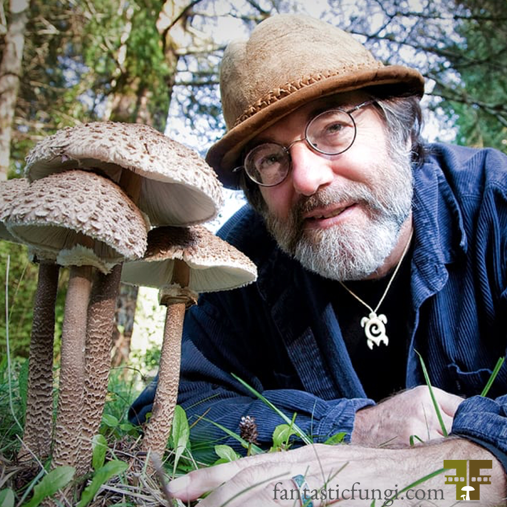 Medical, Therapeutic and Environmental Powers of Fungi | Natural ...