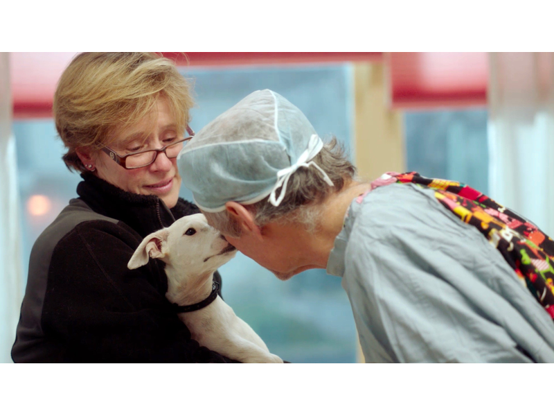 Smith Ridge Veterinary Center