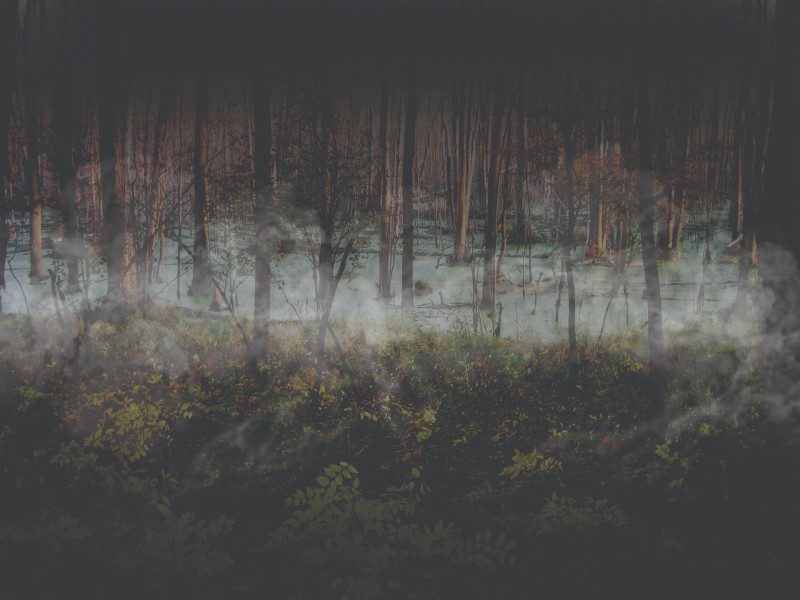 Swamps, a Morning Ride, and the Addams Family | Mountain Home Magazine