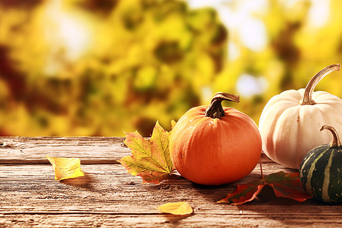 October 2019 Events | Women's Lifestyle Magazine
