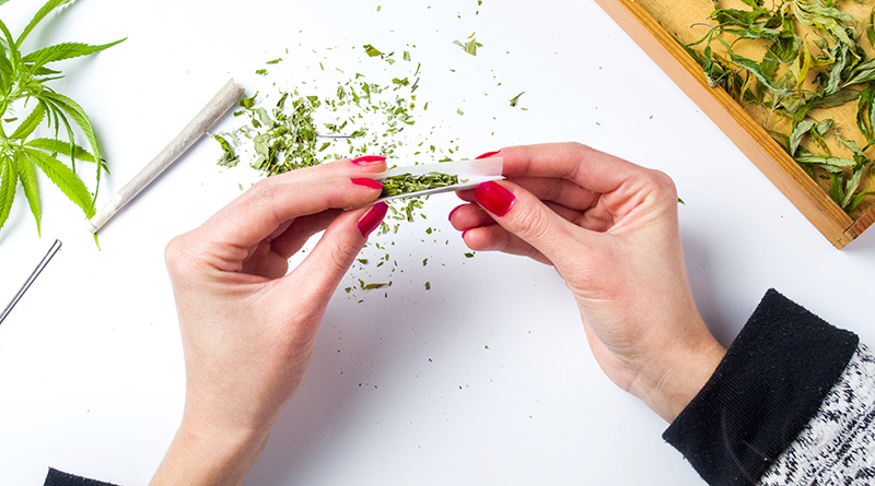What's the Buzz All About: A Beginners Guide to Marijuana with Tips ...
