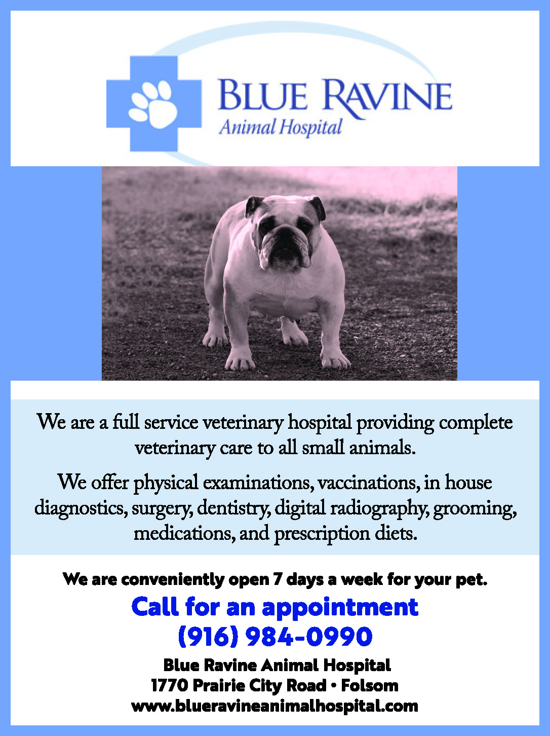 Blue Ravine Animal Hospital - Veterinary Hospital in Folsom | Style ...