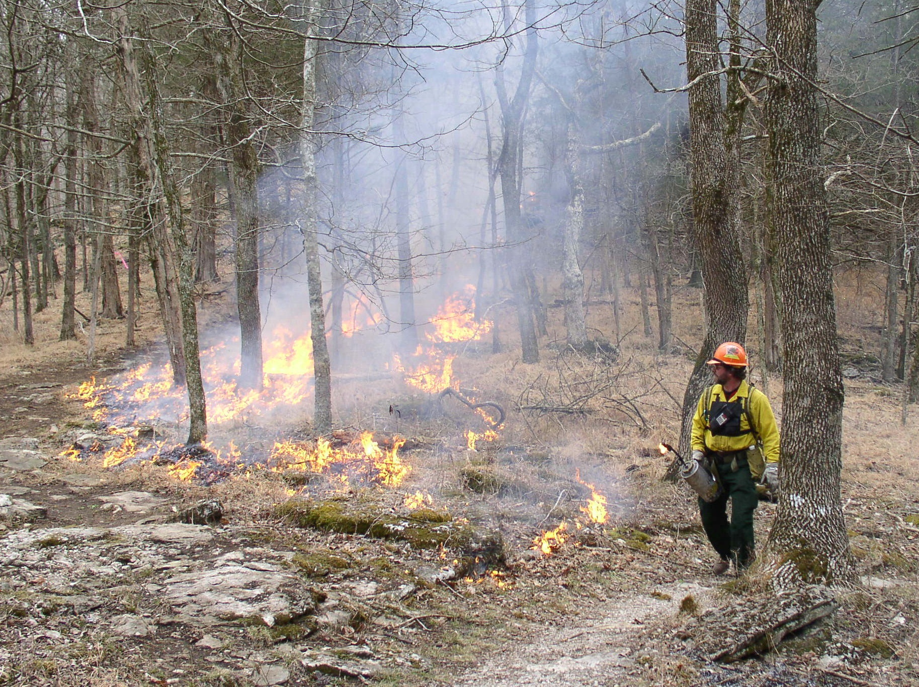 Superior National Forest to Resume Prescribed Burning | Boreal ...
