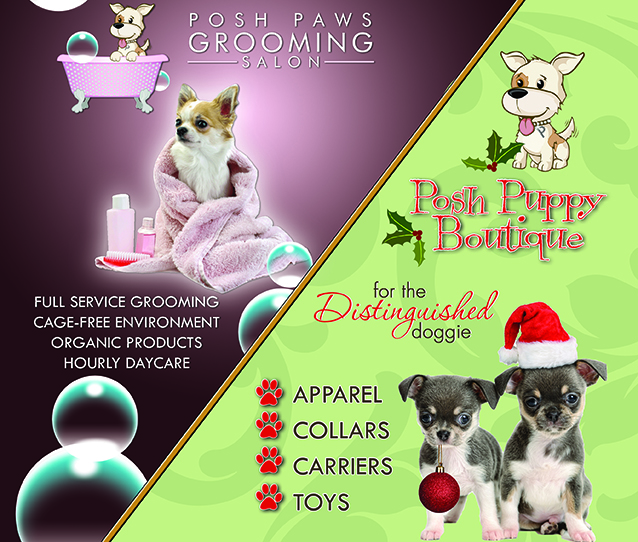 Posh Paws Grooming Salon — Posh Puppy Boutique | Style Magazine
